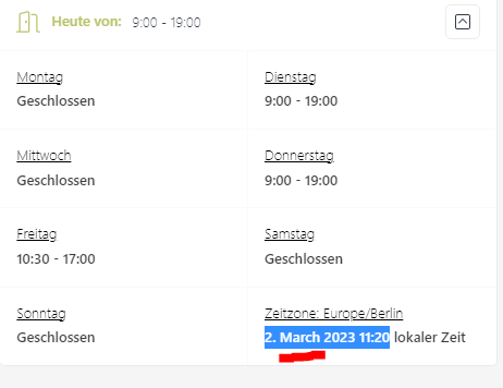 Work hours(VX) Timezome in english – VOXEL