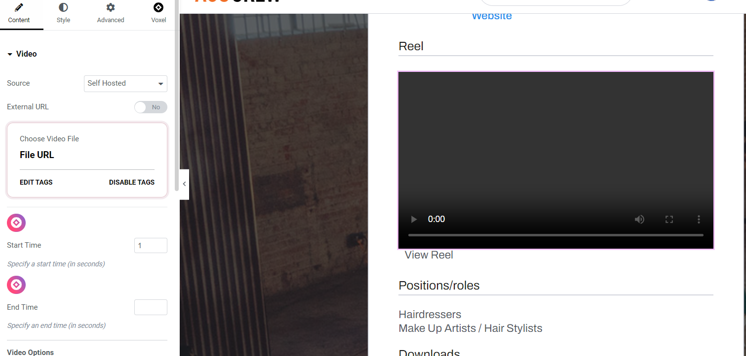 Self hosted video not working – VOXEL